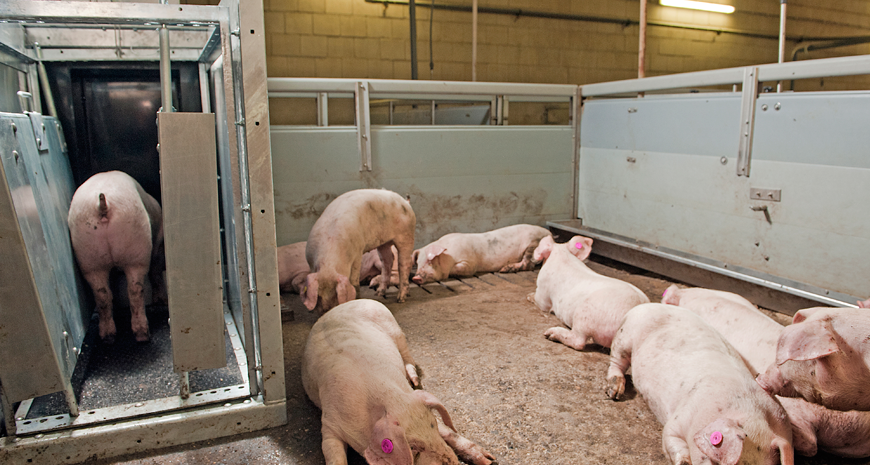 SEPARATION SYSTEM - Exafan | Exafan