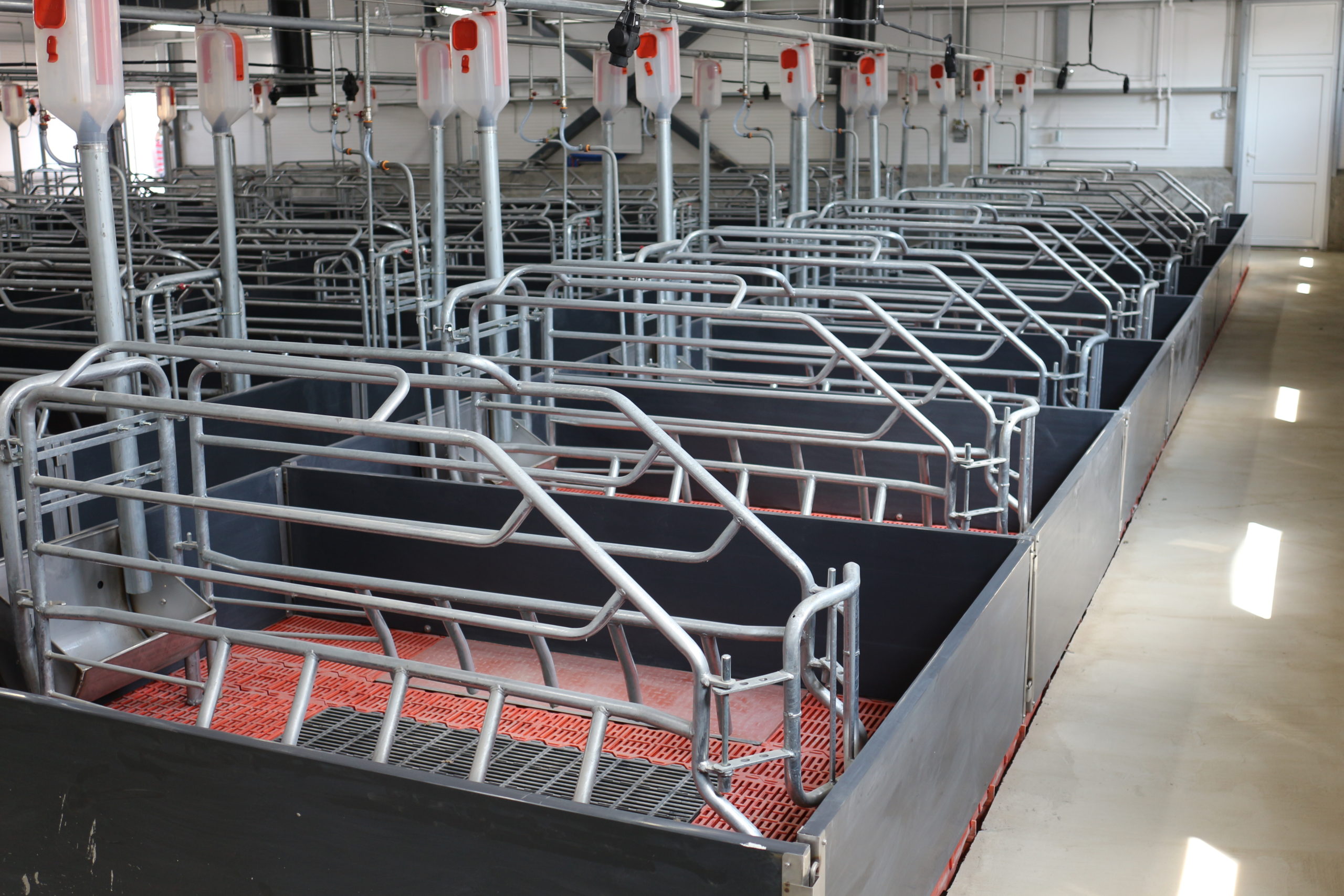 VOLUMETRIC DISPENSER - Exafan | Exafan