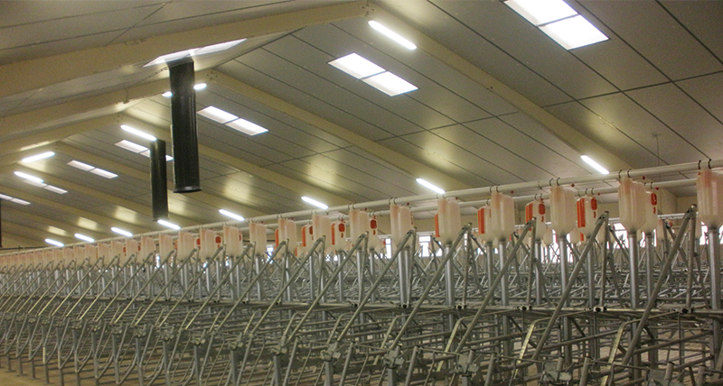 VOLUMETRIC DISPENSER - Exafan | Exafan