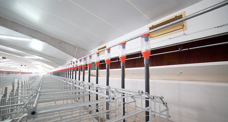 BUOY FEED DISPENSER - Exafan | Exafan