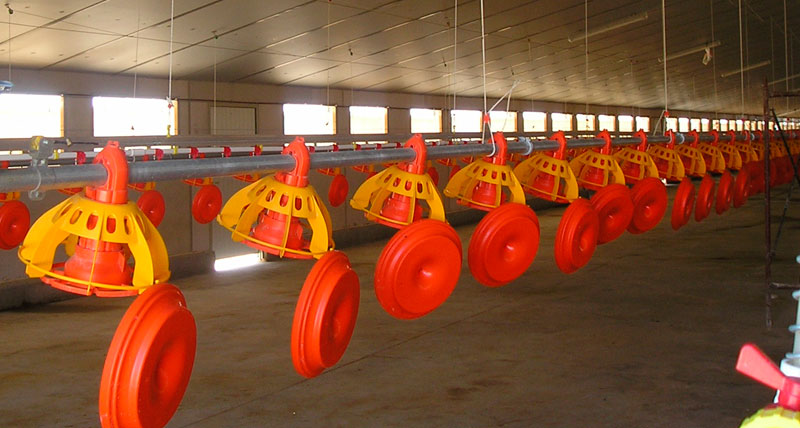 Comedero para pollos LEO | Exafan