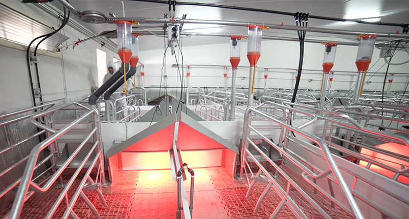 BUOY FEED DISPENSER - Exafan | Exafan