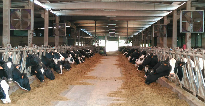 Exhaust fans MESH + MESH EX series | Exafan