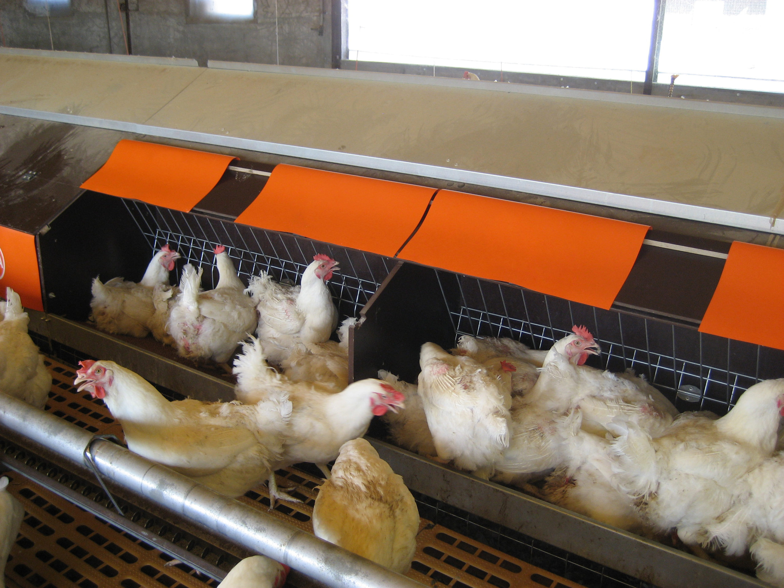 Zeus Nest housing - Exafan | Exafan