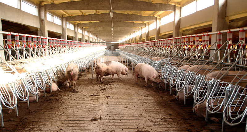 FREE ACCESS STALLS - Exafan | Exafan