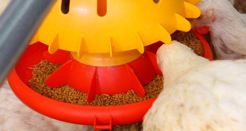 EOS PAN FEEDER FOR BROILERS | Exafan