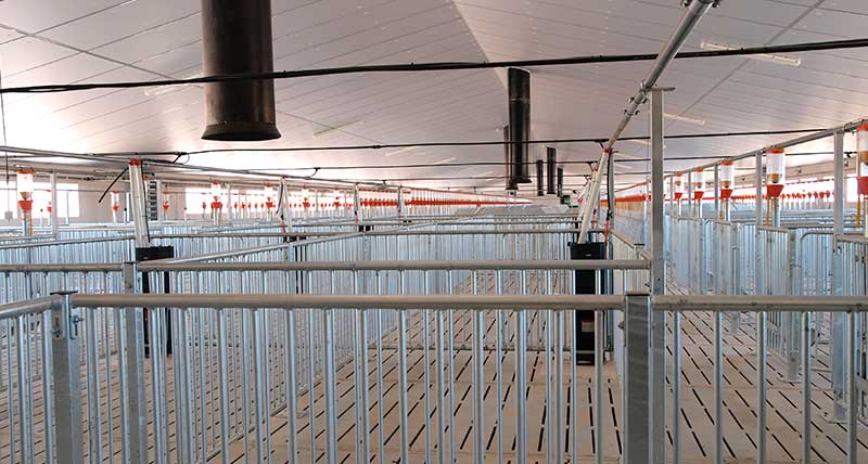 Pens - Exafan | Exafan