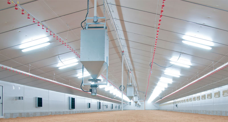 Air dispersing hopper for rearing | Exafan