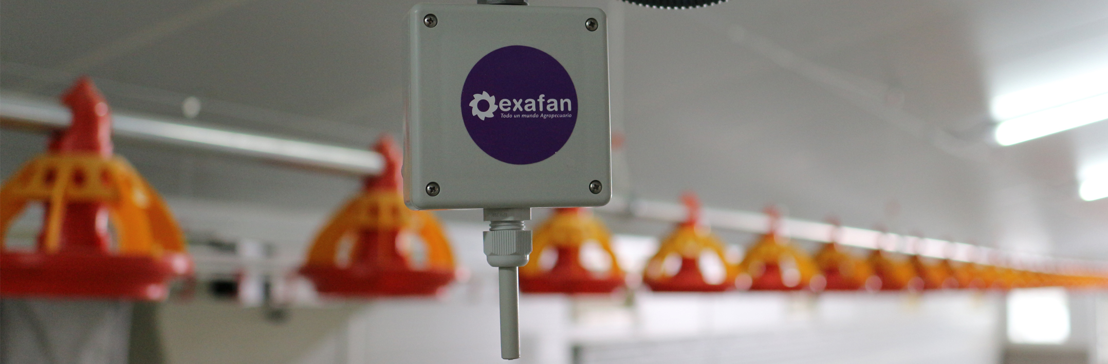 Sensores de temperatura | Exafan