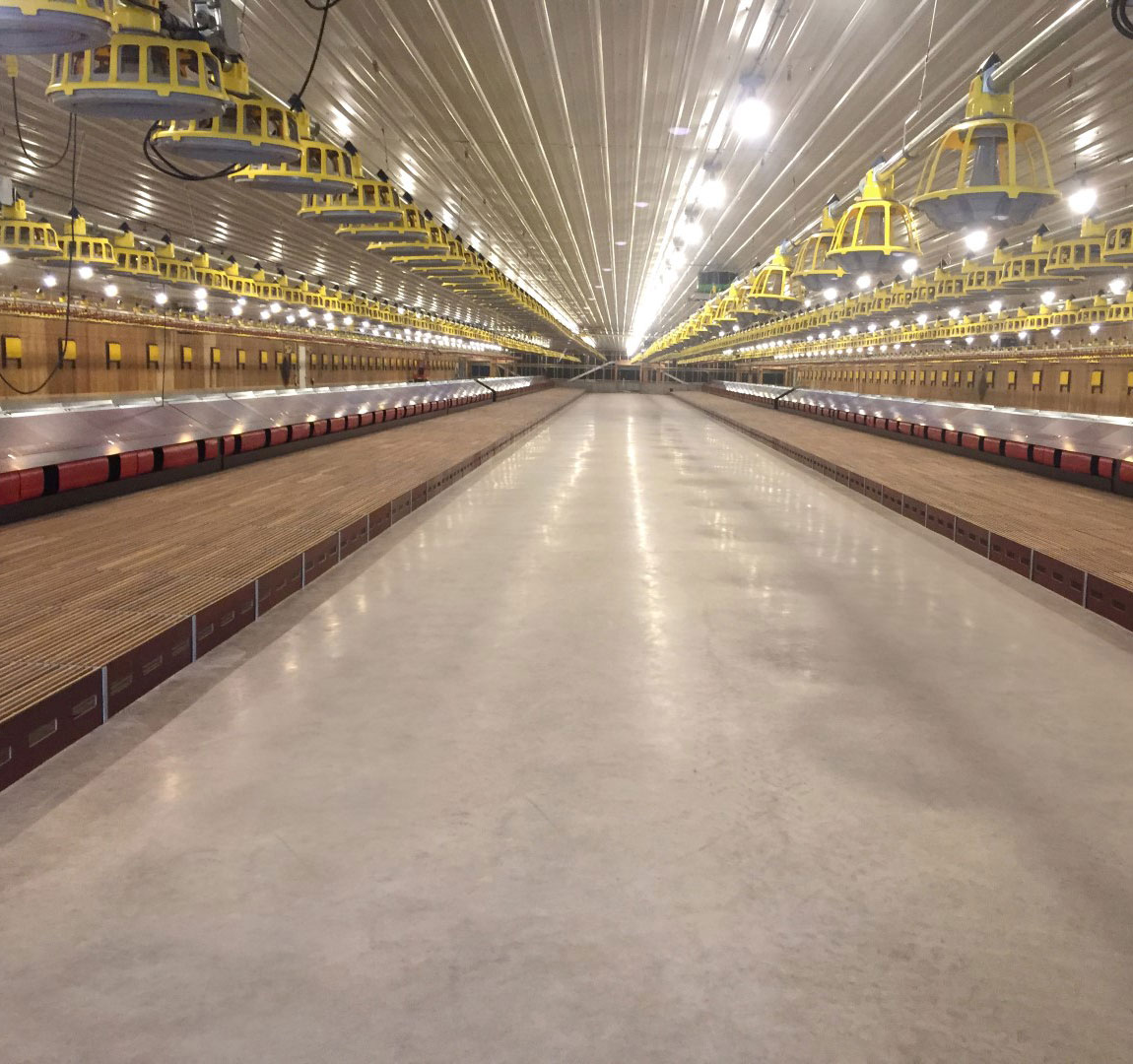 Van Gent Nest | Exafan