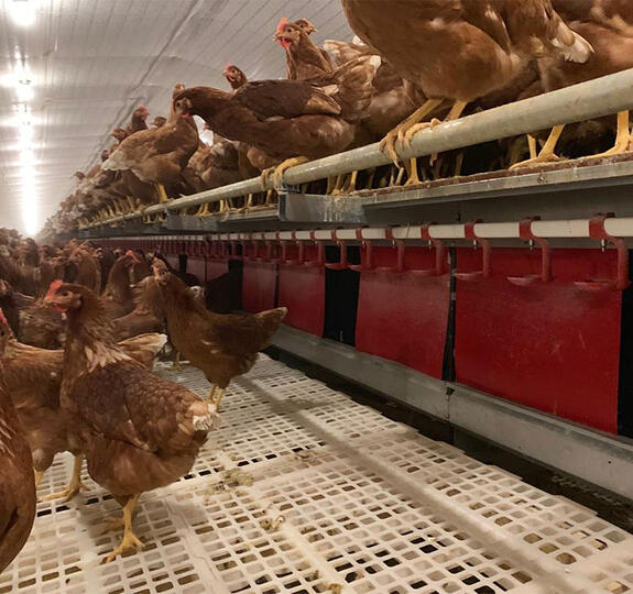 Vencomatic Nest | Exafan