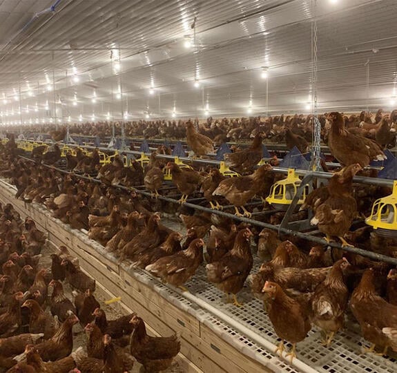 Vencomatic Nest | Exafan