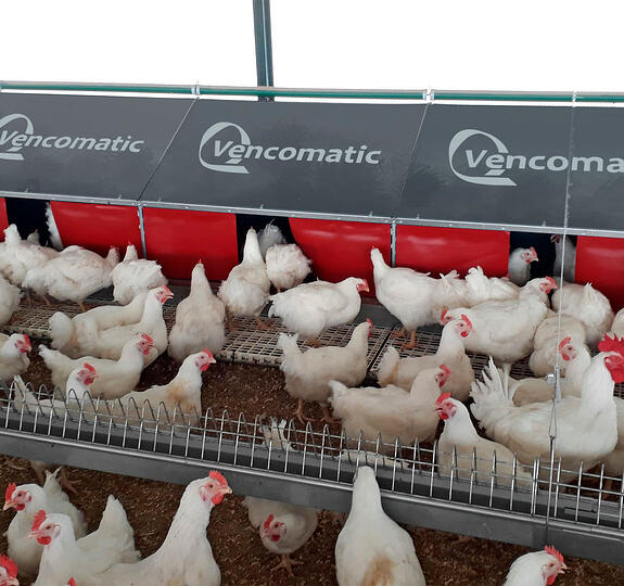 Vencomatic Nest Condor | Exafan