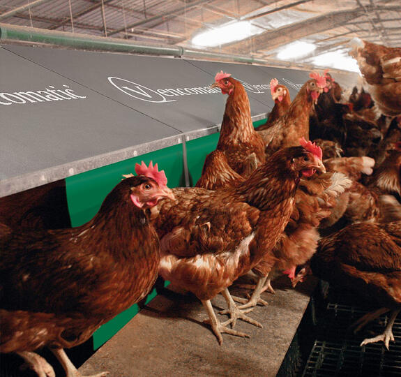 Vencomatic Nest | Exafan