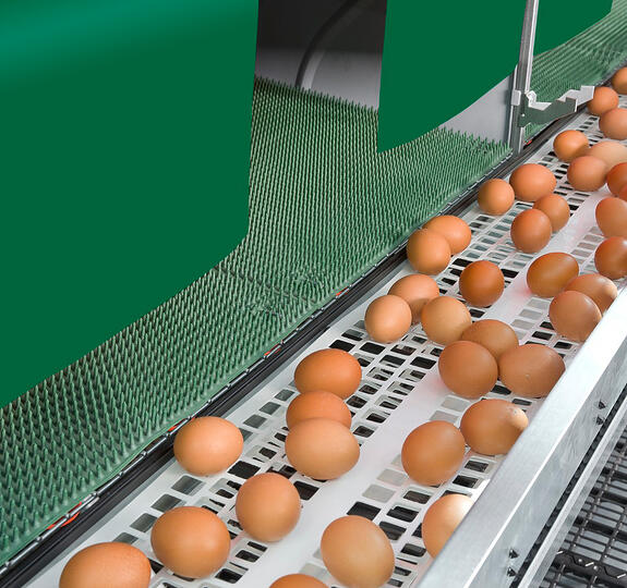 Vencomatic Nest | Exafan