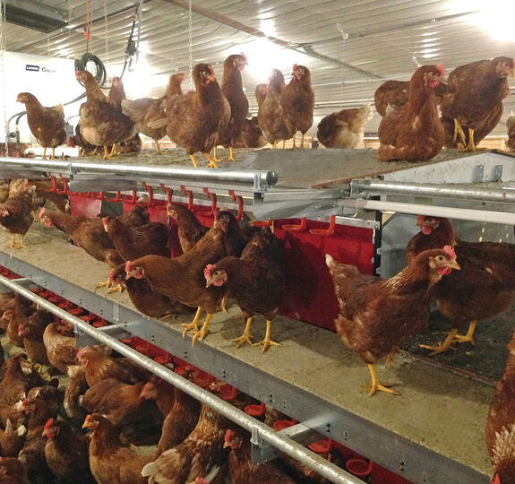 Vencomatic Nest | Exafan