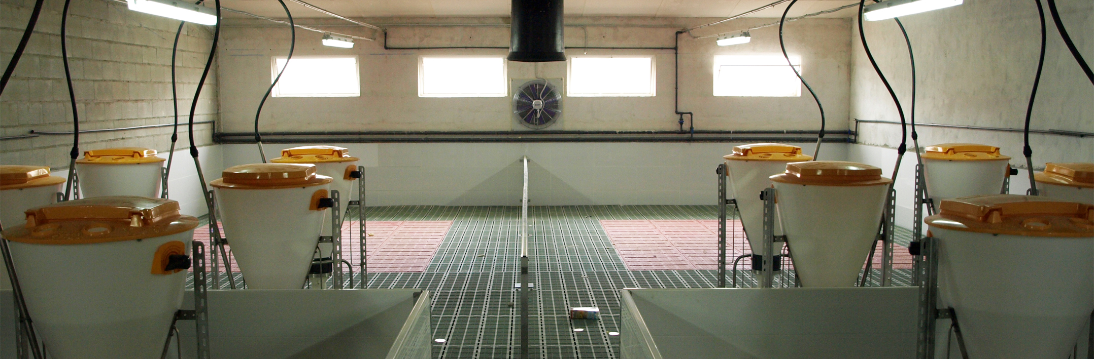 Electronic wall fans – EC - Exafan | Exafan