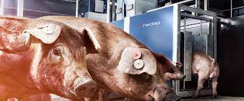 SEPARATION SYSTEM - Exafan | Exafan