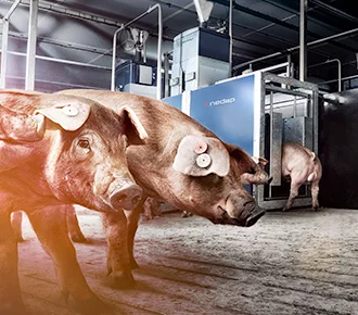 SEPARATION SYSTEM - Exafan | Exafan