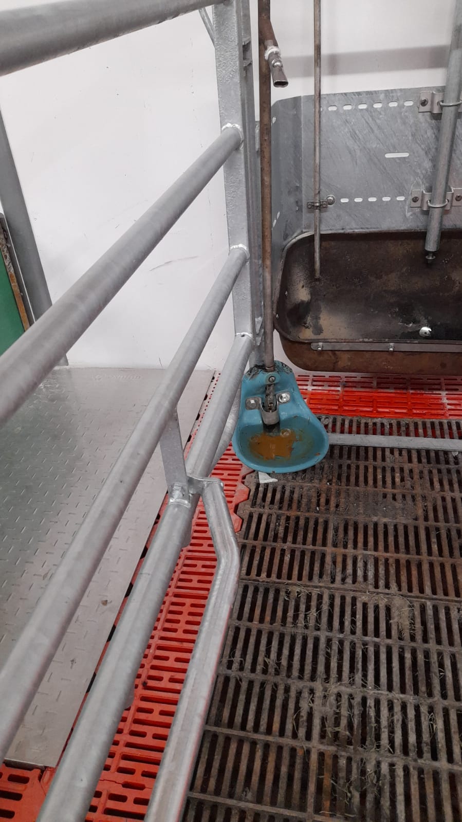 FARROWING CRATE FOR SOWS - Exafan | Exafan