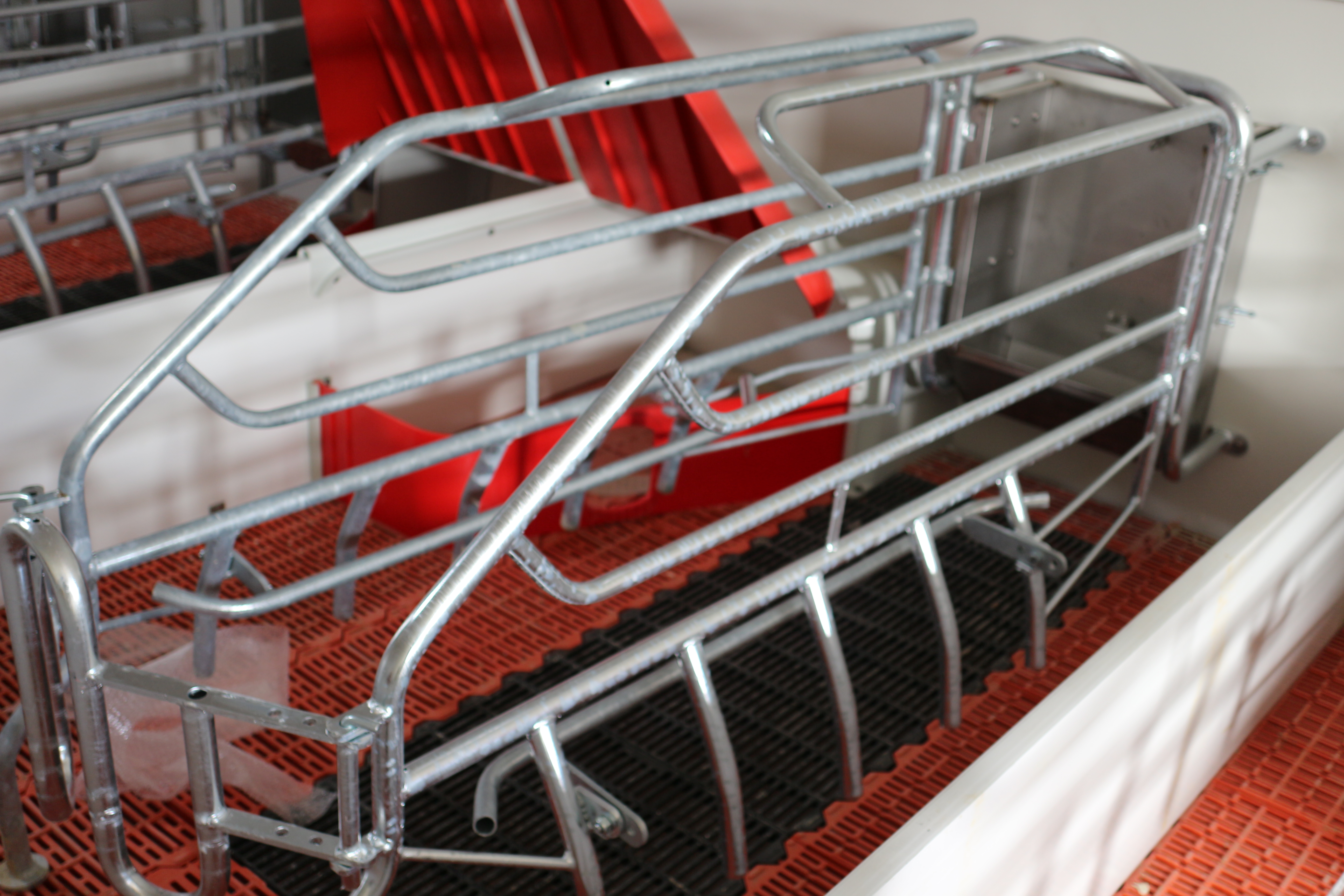 FARROWING CRATE FOR SOWS - Exafan | Exafan