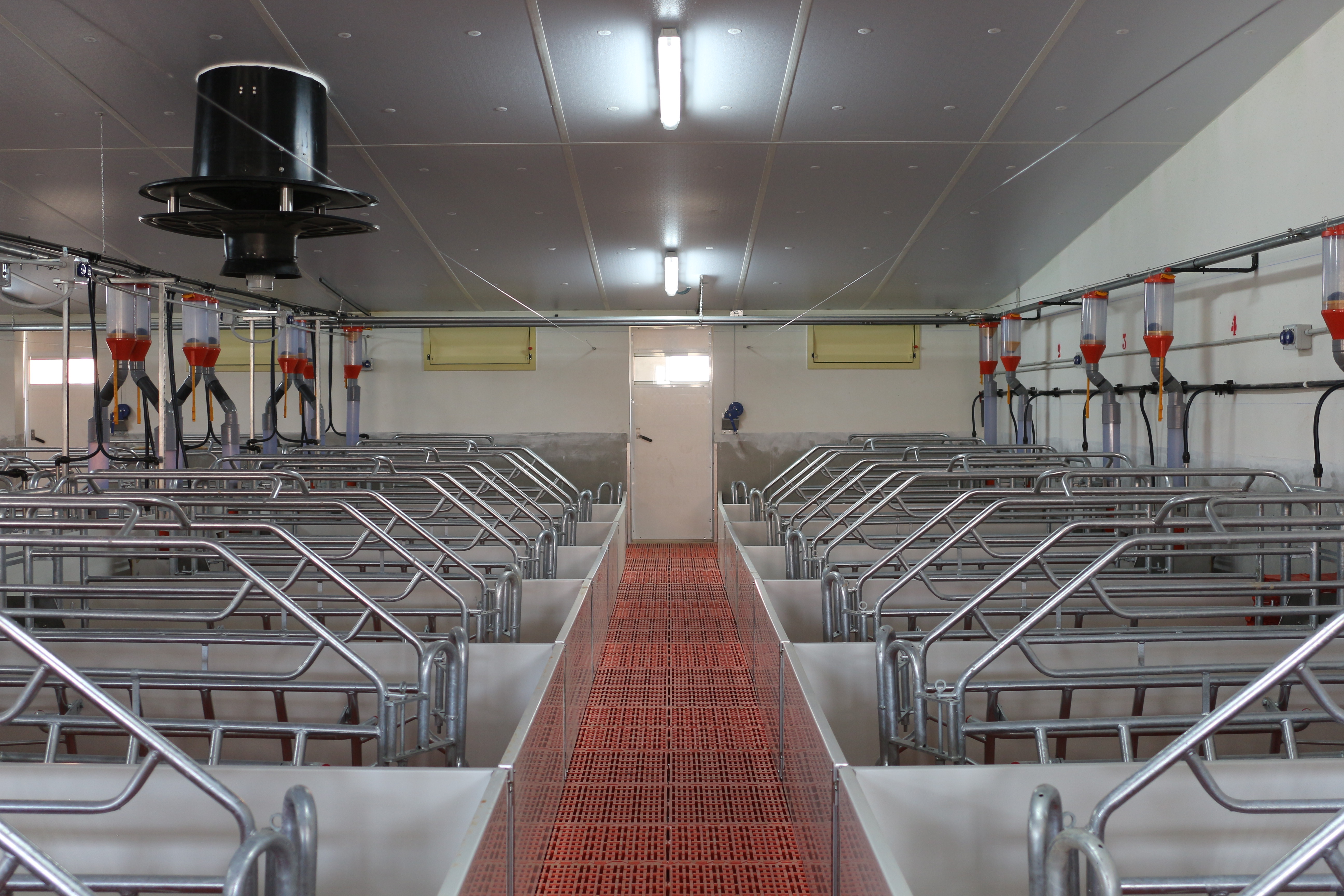 Chimney, cone and deflector system - Exafan | Exafan