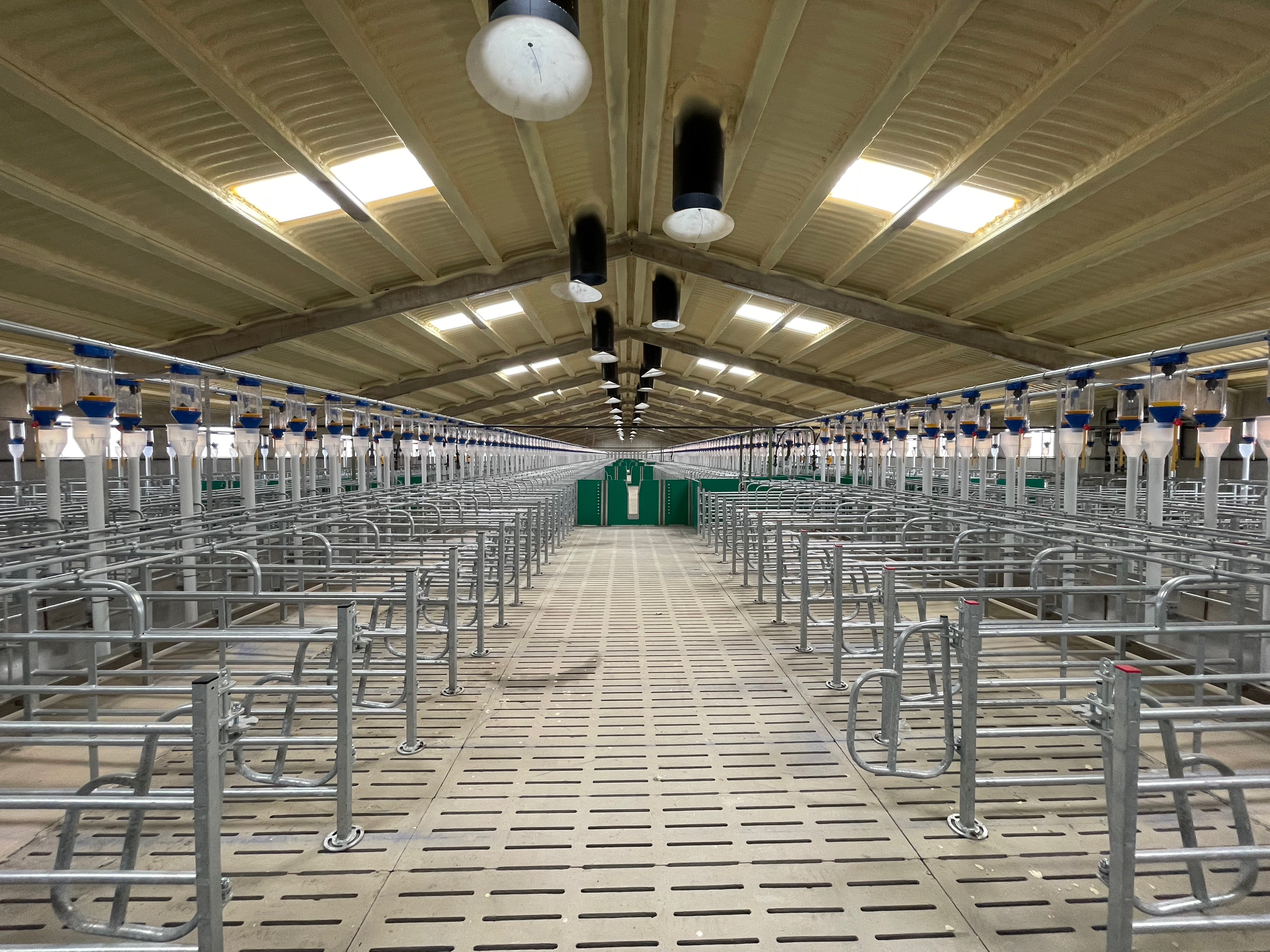 BOXLAT067 -Box libre acceso - | Exafan