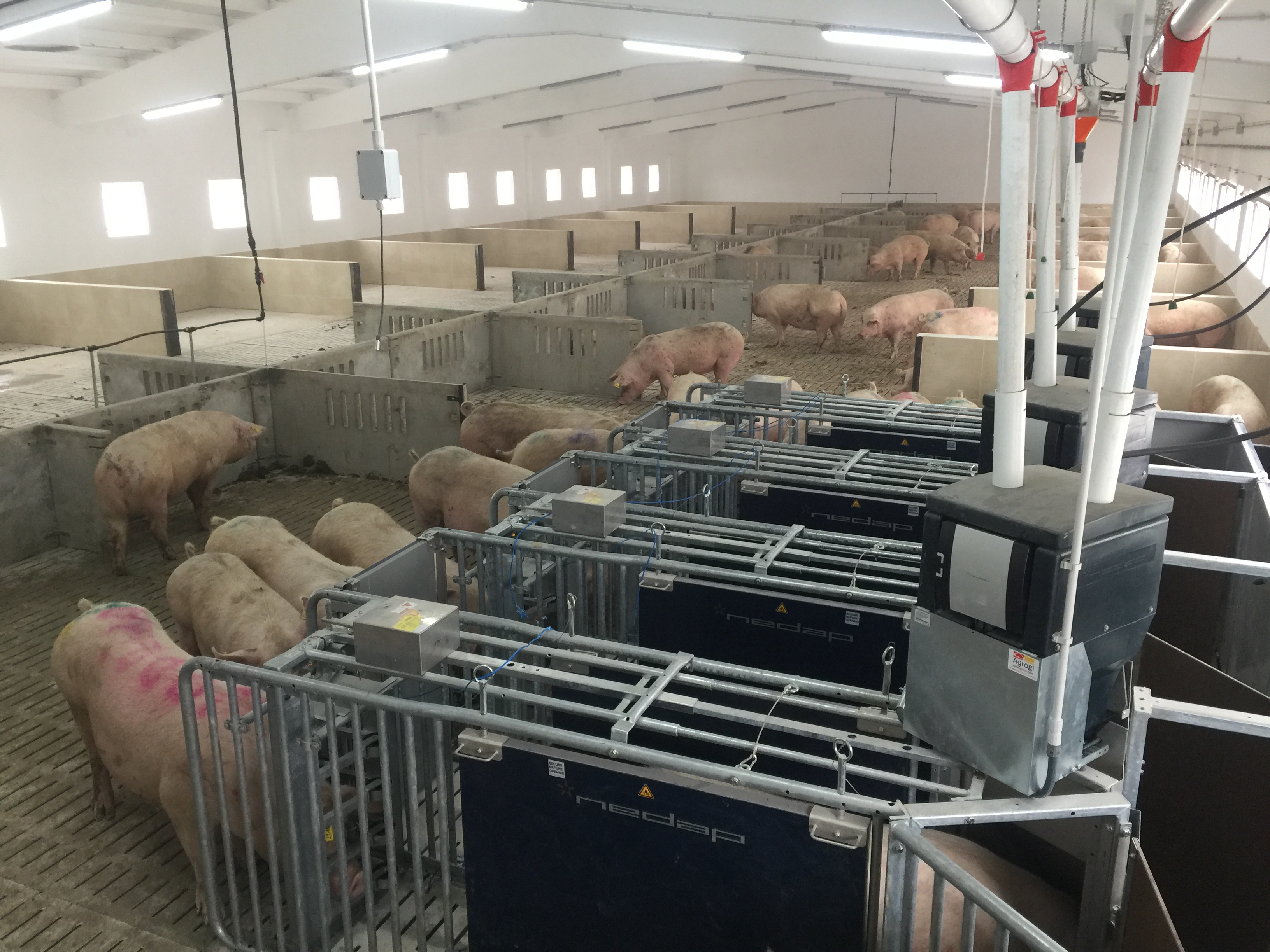 CLASSIFICATION (SORTING) UNIT - Exafan | Exafan