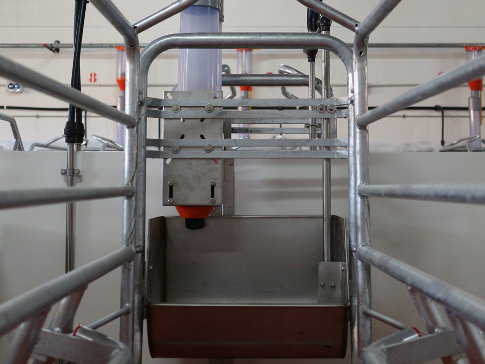 FARROWING CRATE FOR SOWS - Exafan | Exafan