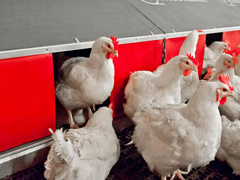 Vencomatic Nest | Exafan