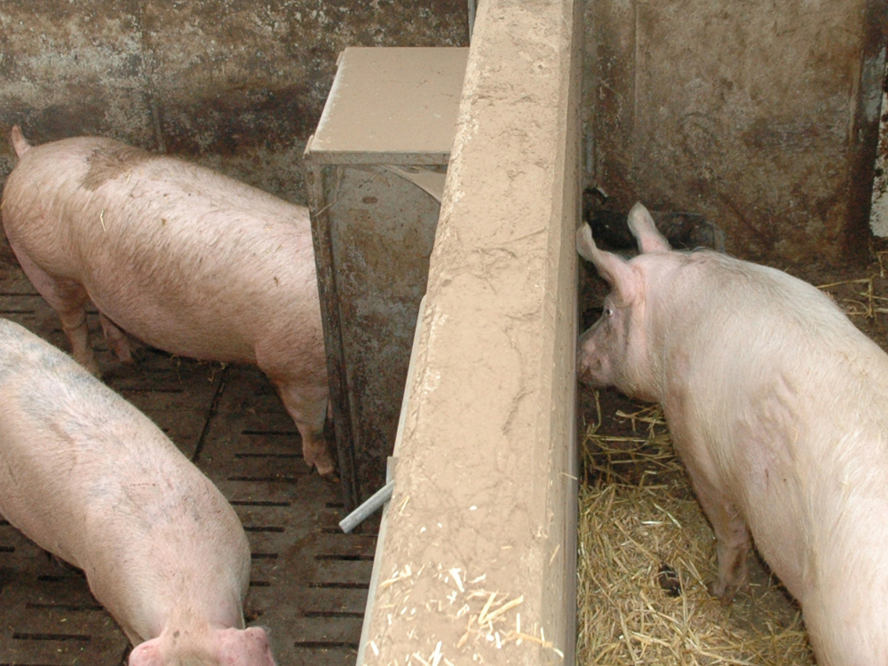 HEAT DETECTION SYSTEM - Exafan | Exafan