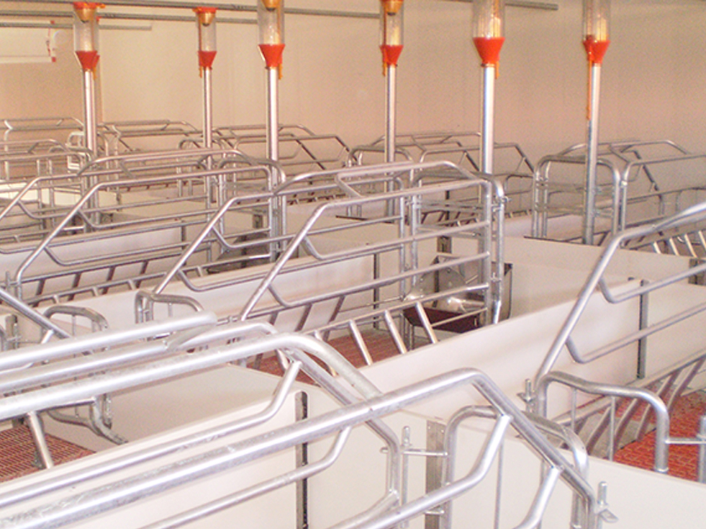 FARROWING CRATE FOR SOWS - Exafan | Exafan