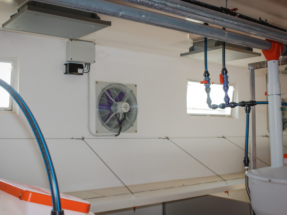 Electronic wall fans – EC - Exafan | Exafan