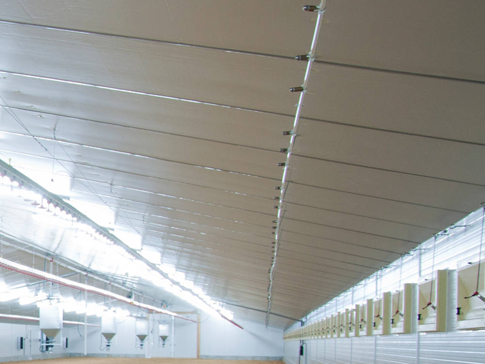 Fogging system | Exafan