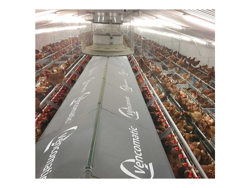 Bolegg Gallery | Exafan