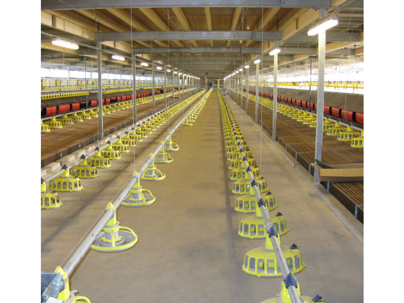 Van Gent Nest | Exafan