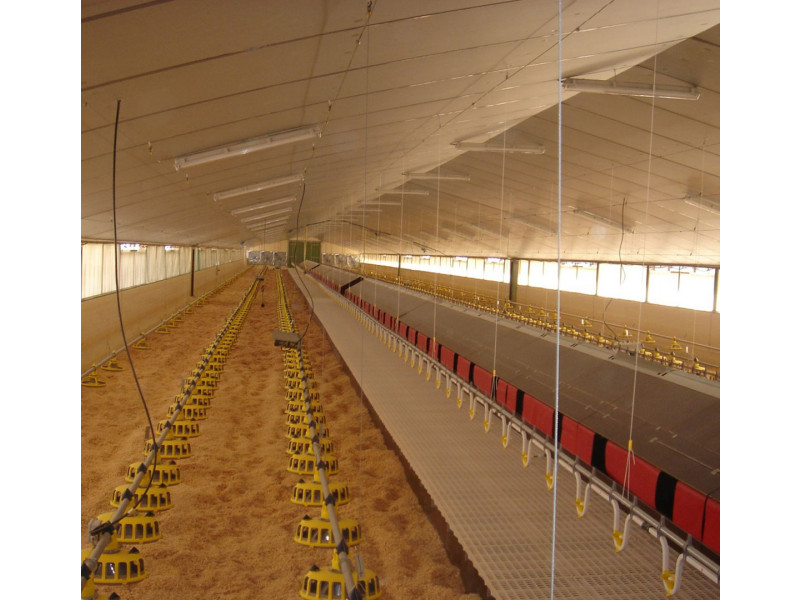 Van Gent Nest | Exafan