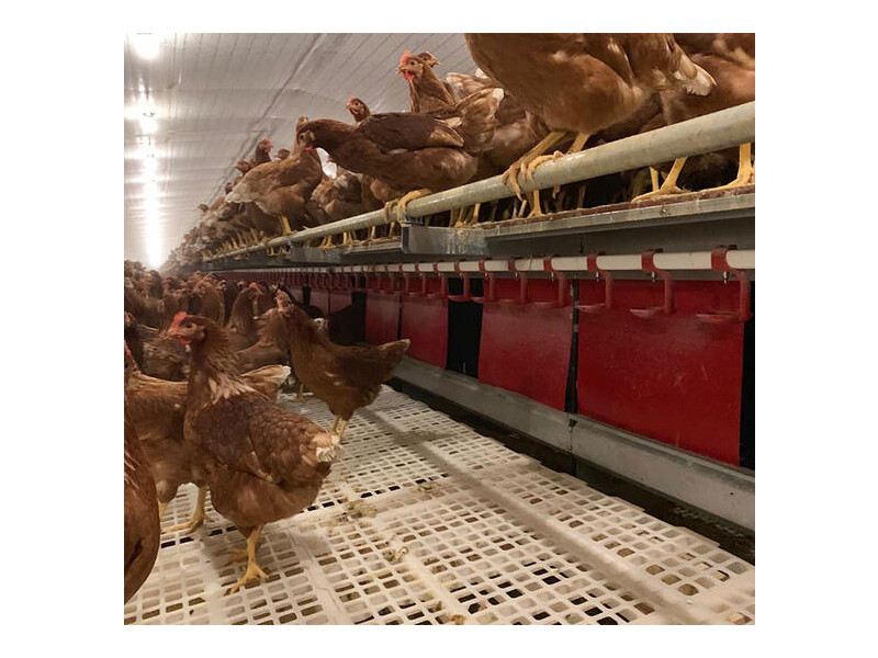 Vencomatic Nest | Exafan