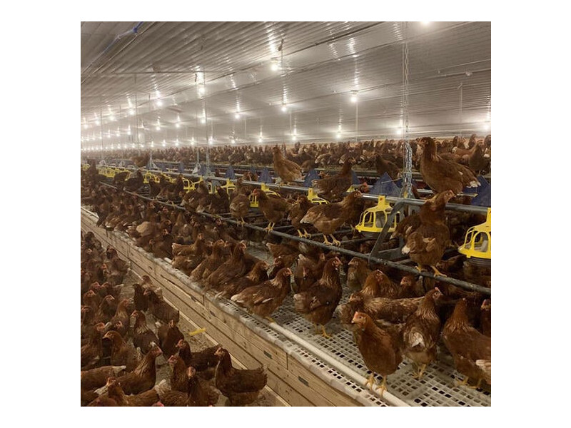 Vencomatic Nest | Exafan