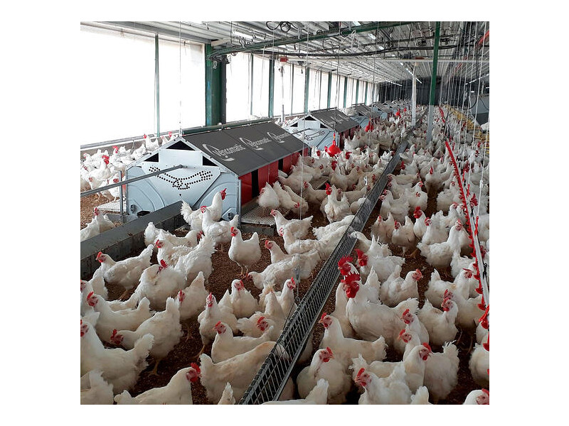 Vencomatic Nest Condor | Exafan