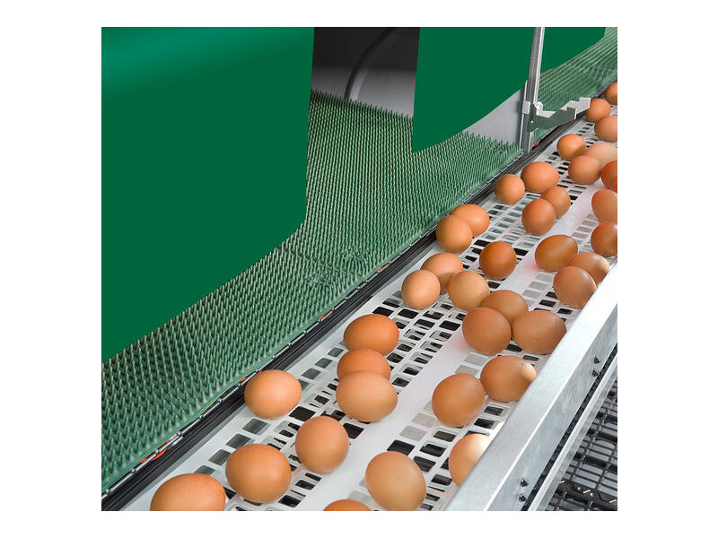 Vencomatic Nest | Exafan