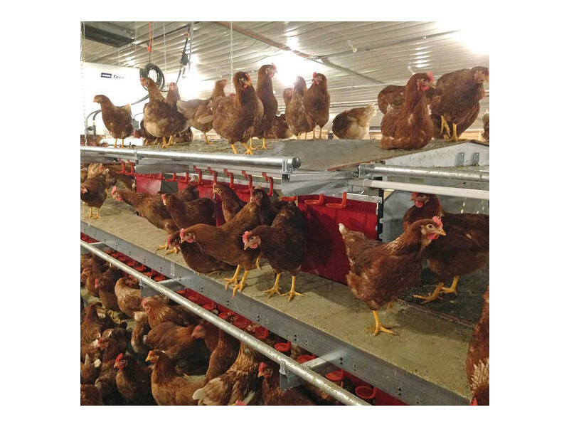 Vencomatic Nest | Exafan