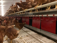 Vencomatic Nest | Exafan