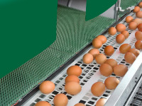 Vencomatic Nest | Exafan